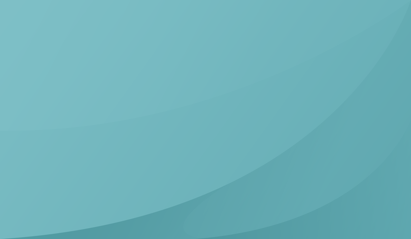 Chief Operating Officer (COO) Job Application Form Template – Woorise