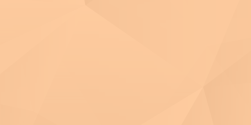 Company Satisfaction Survey Template – Woorise