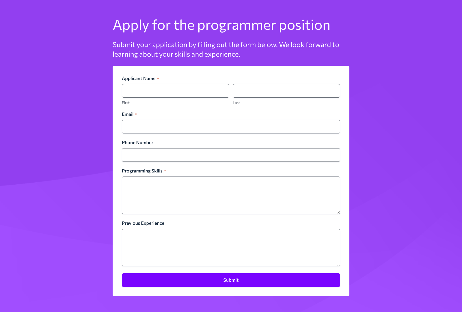 Computer Programmer Job Application Form Template – Woorise